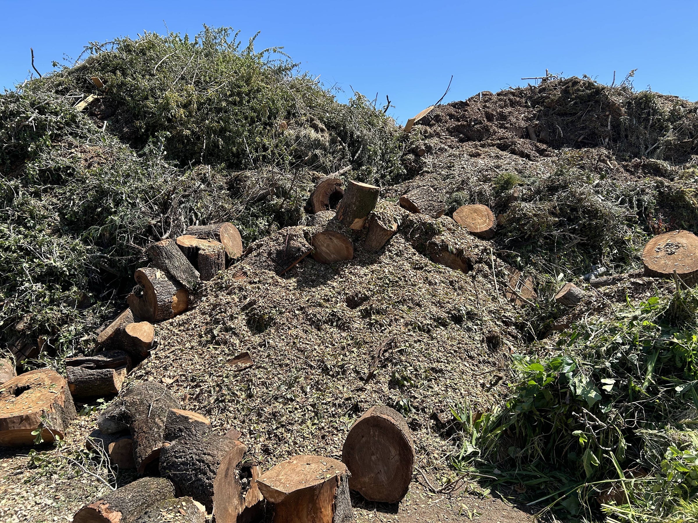 Eco-friendly Lumber and Mulch Products | Green Waste Recycle Yard